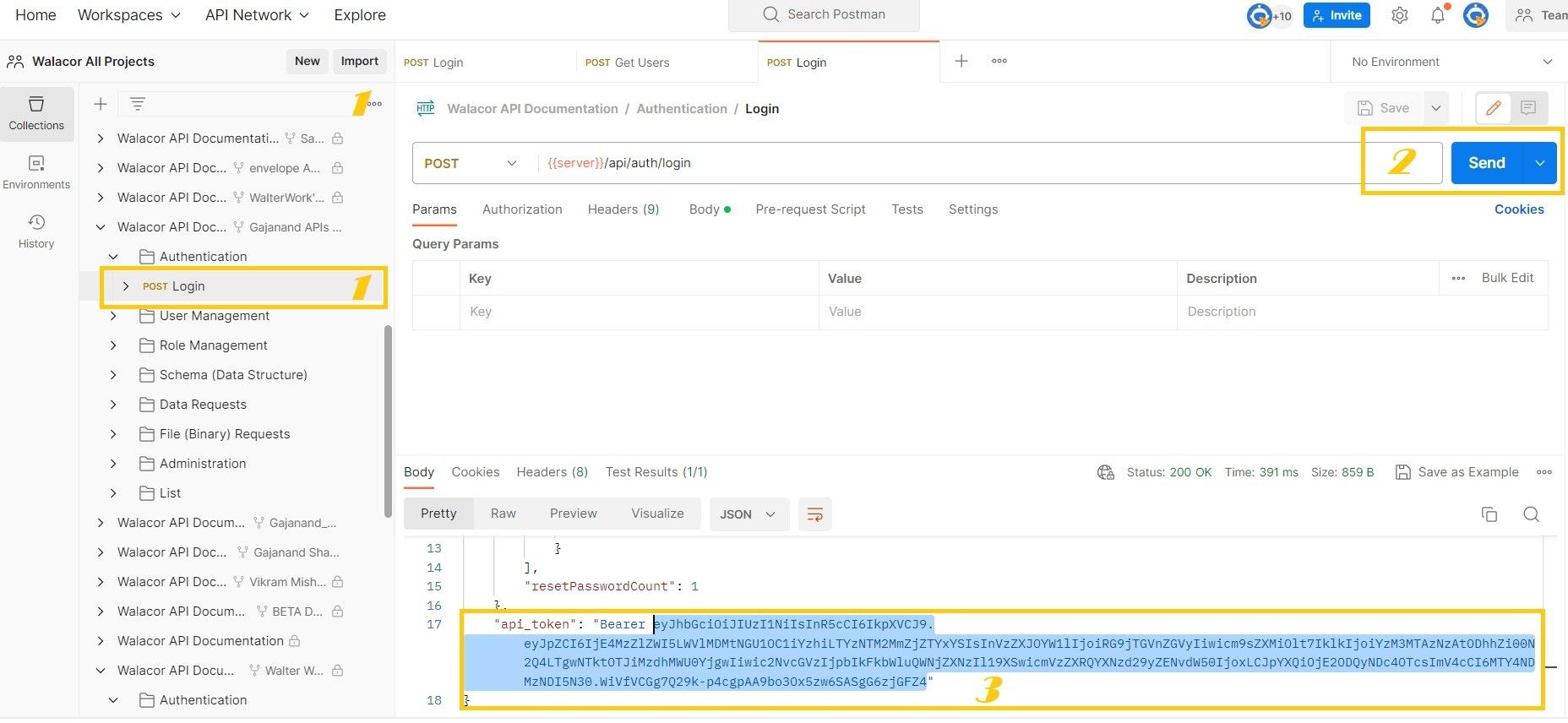 Walacor API Documentation